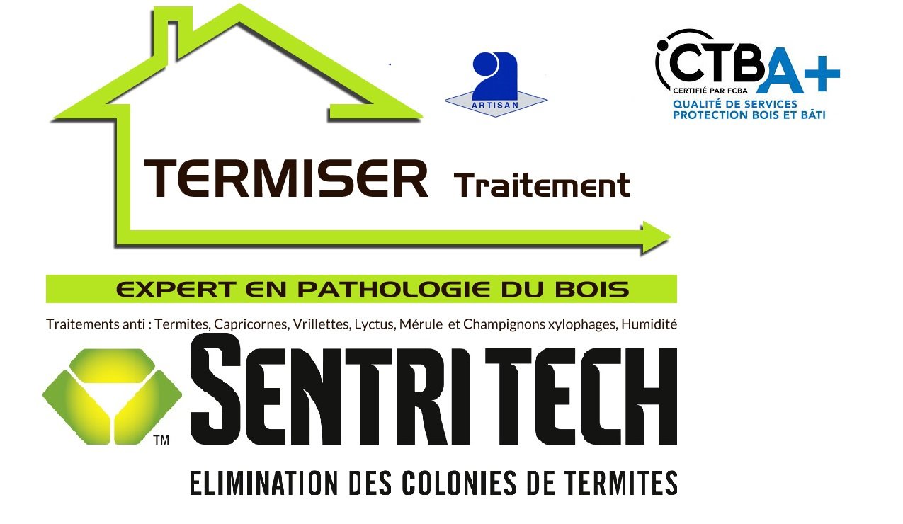 Spécialiste Anti-Termite - TERMISER TRAITEMENT | Sentri Tech